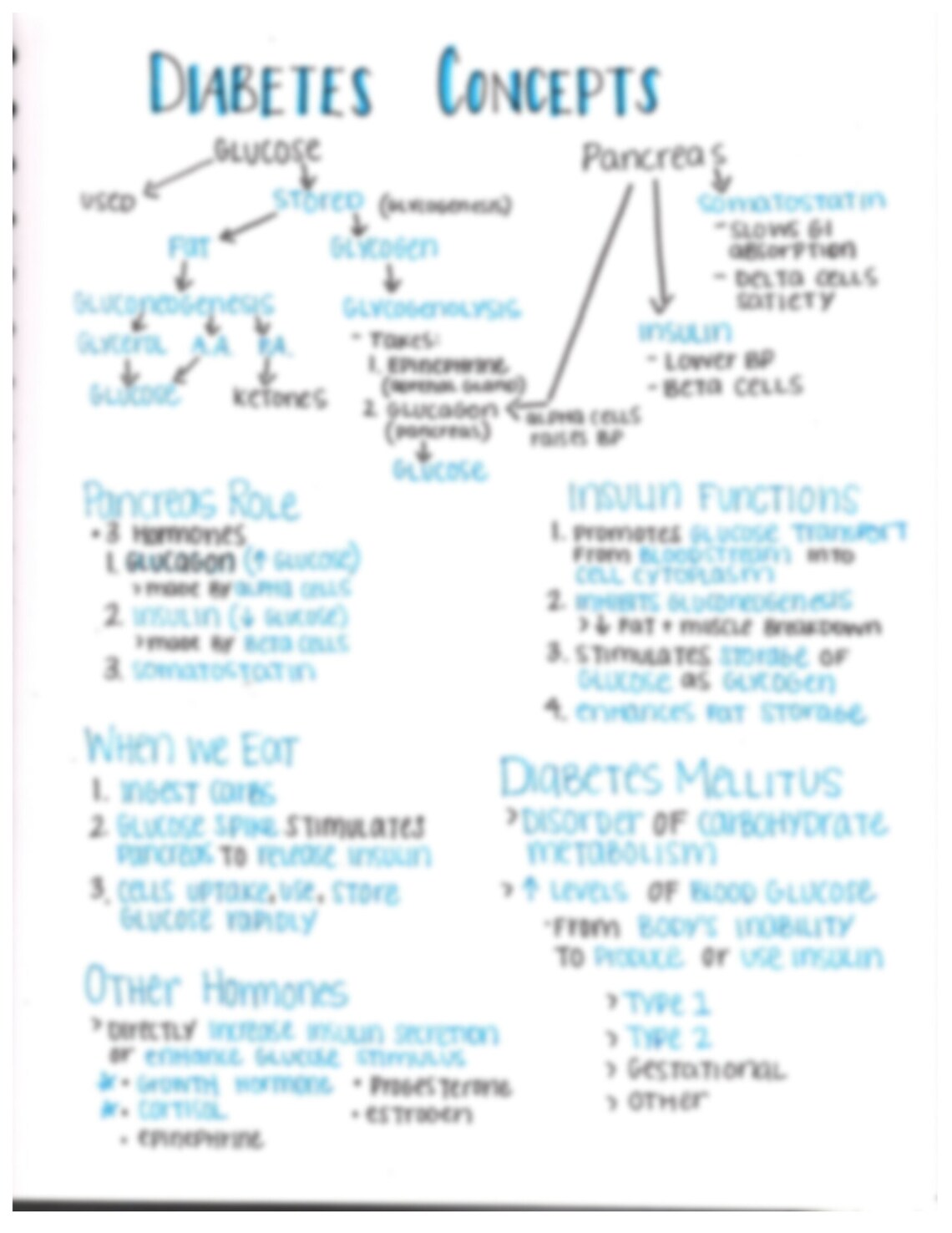 Diabetes Concepts Pathophysiology Nursing Notes - Etsy