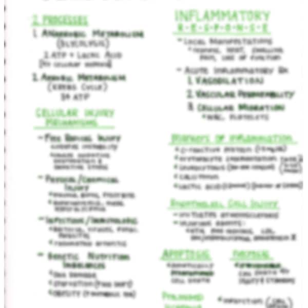 Chronic Stable Angina Med Surg Nursing Study Notes - Etsy