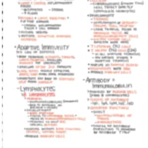 Immunity Pathophysiology Nursing Notes - Etsy