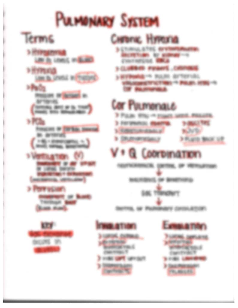 Pulmonary System Nursing Notes - Etsy