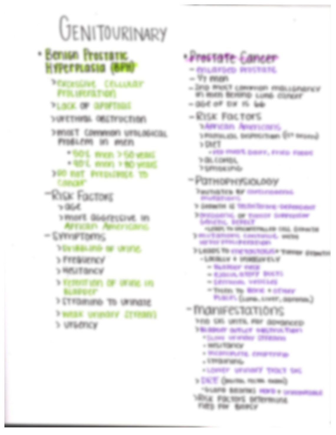 Genitourinary Pathophysiology Nursing Notes - Etsy