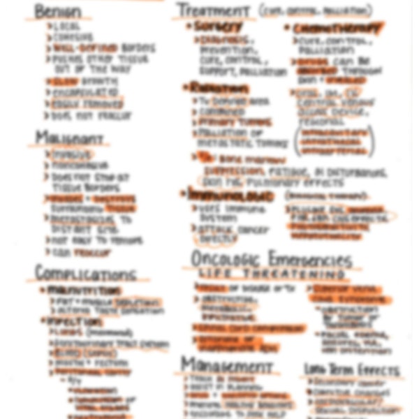 Nursing Student Notes - Etsy