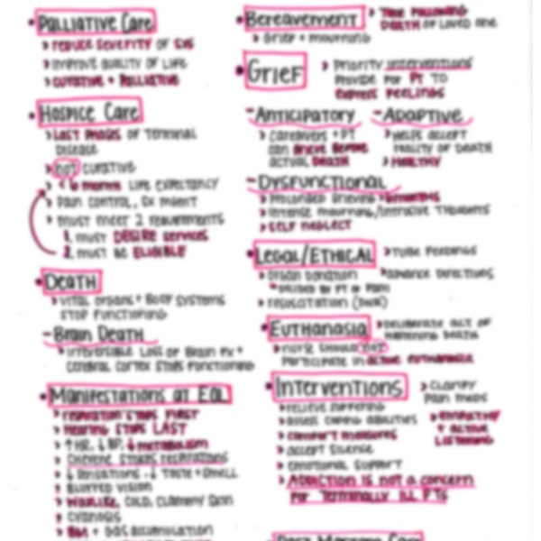 Nursing School Notes - Etsy