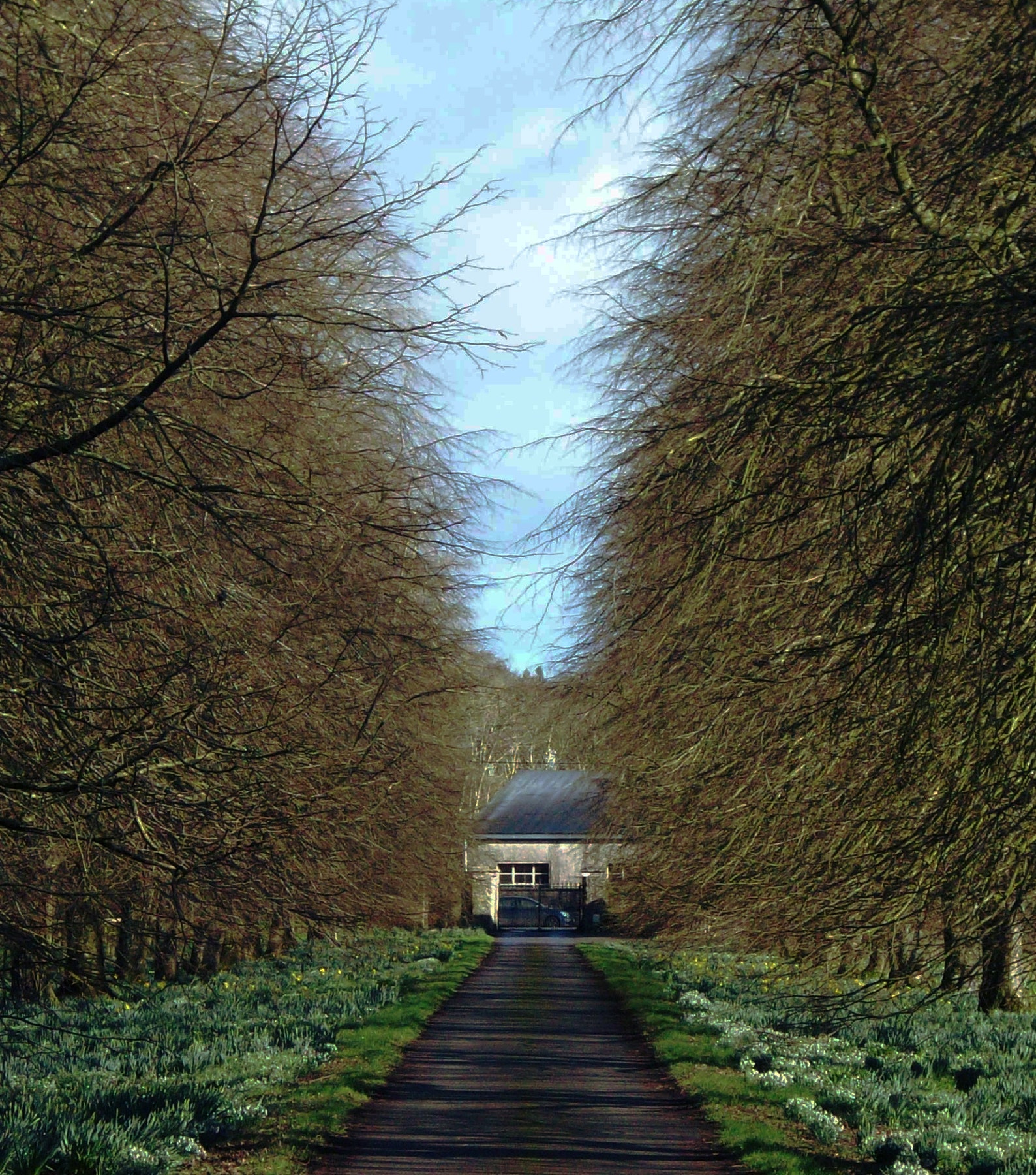 Irish Path - Downloadable Print, Printable Art, Downloadable Art ...