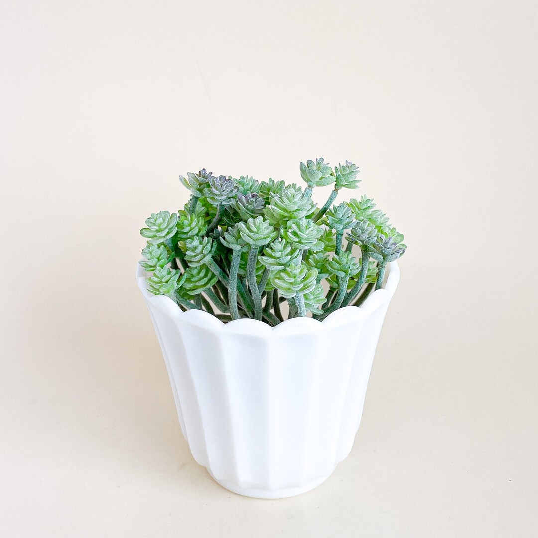 Vintage, Milk Glass Planter, White Glass, Indoor Plant Pot, Boho, Farm ...