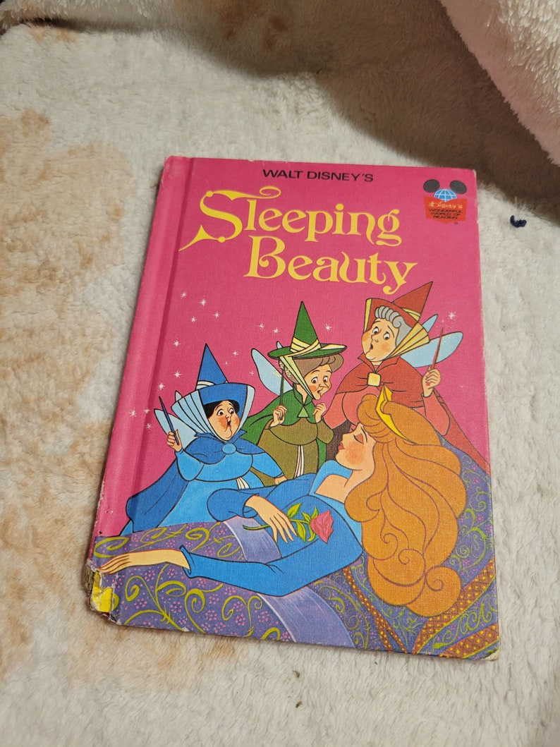 Sleeping Beauty Children's Book - Etsy