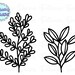 TREE BRANCH Bundle in SVG 10 Designs Leaves Plants Nature - Etsy