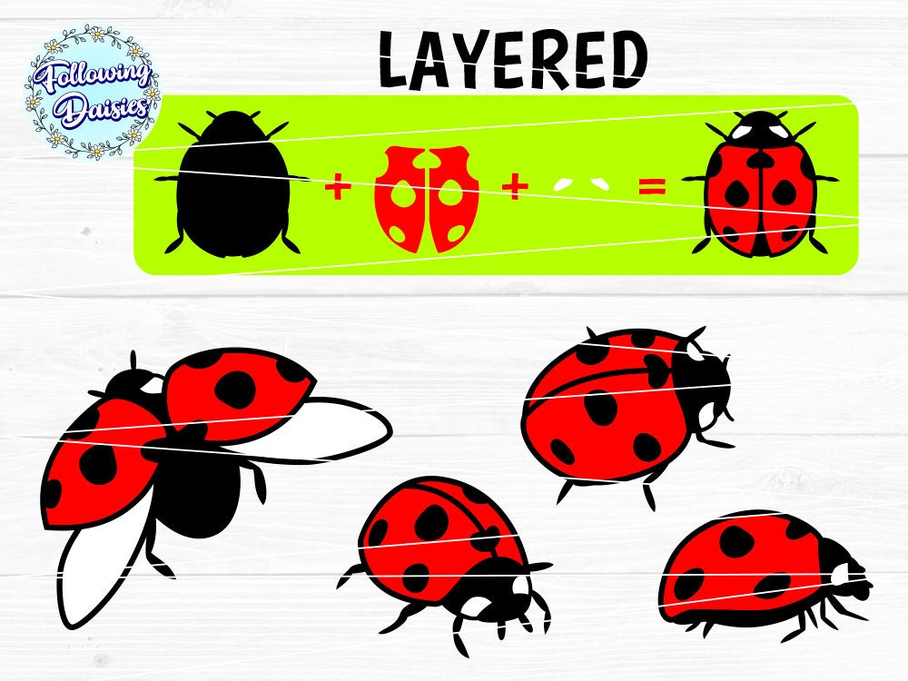 MARIQUITAS y FLORES SVG Mariquita svg bundle Mariquita svg - Etsy España