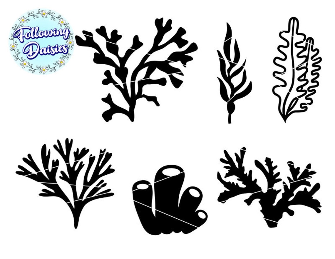 CORALS and SEAWEEDS En SVG, Ocean, Plants, Marine Nature, Sea, Corals ...