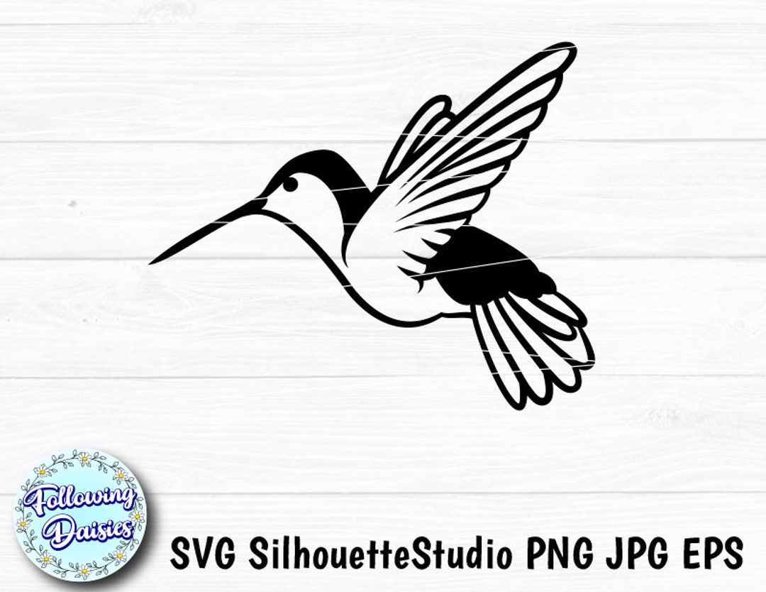 HUMMINGBIRD SVG Tropical Animals Nature Summer Tropical - Etsy