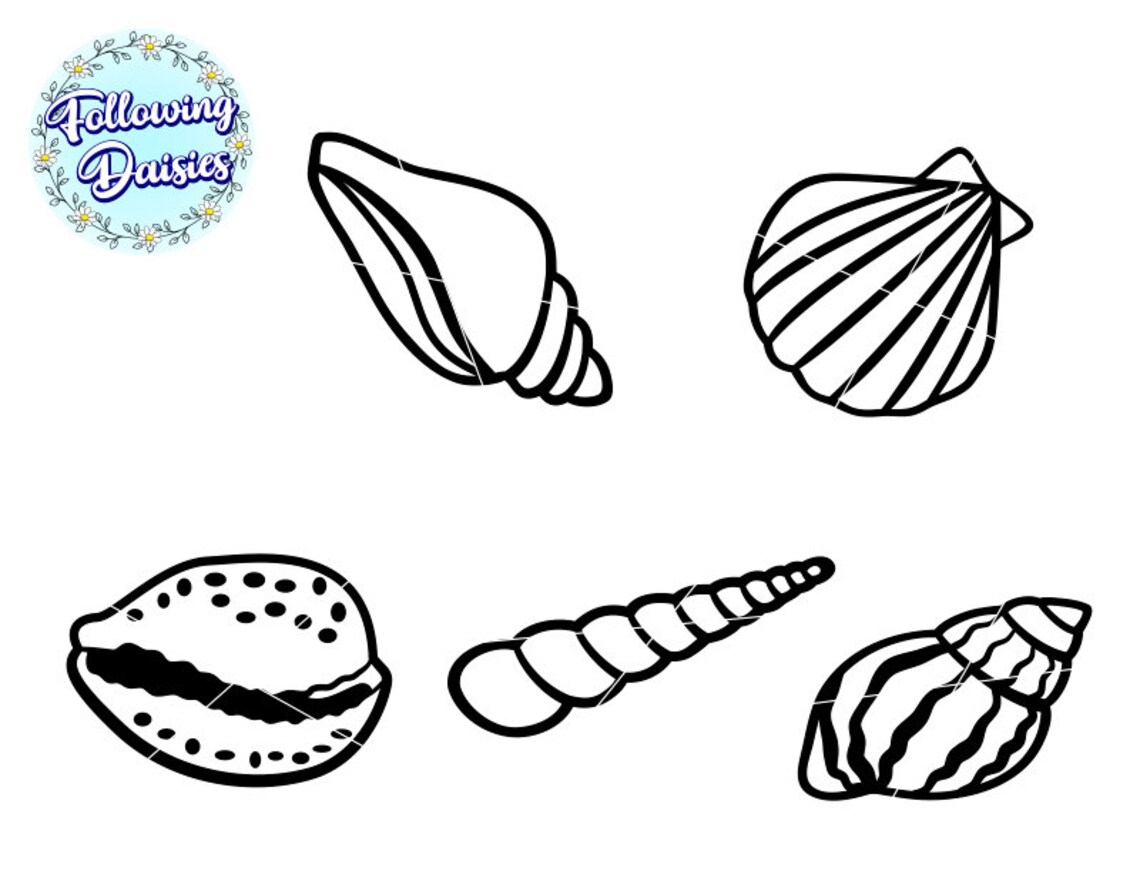 SEASHELLS in SVG, Seashells Bundle, Summer, Beach, Ocean, Shell, Sea ...