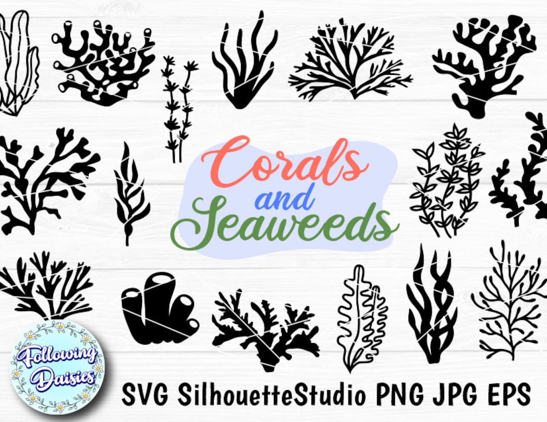CORALS and SEAWEEDS En SVG, Ocean, Plants, Marine Nature, Sea, Corals ...