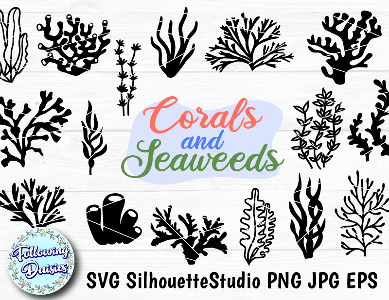 CORALS and SEAWEEDS En SVG, Ocean, Plants, Marine Nature, Sea, Corals ...