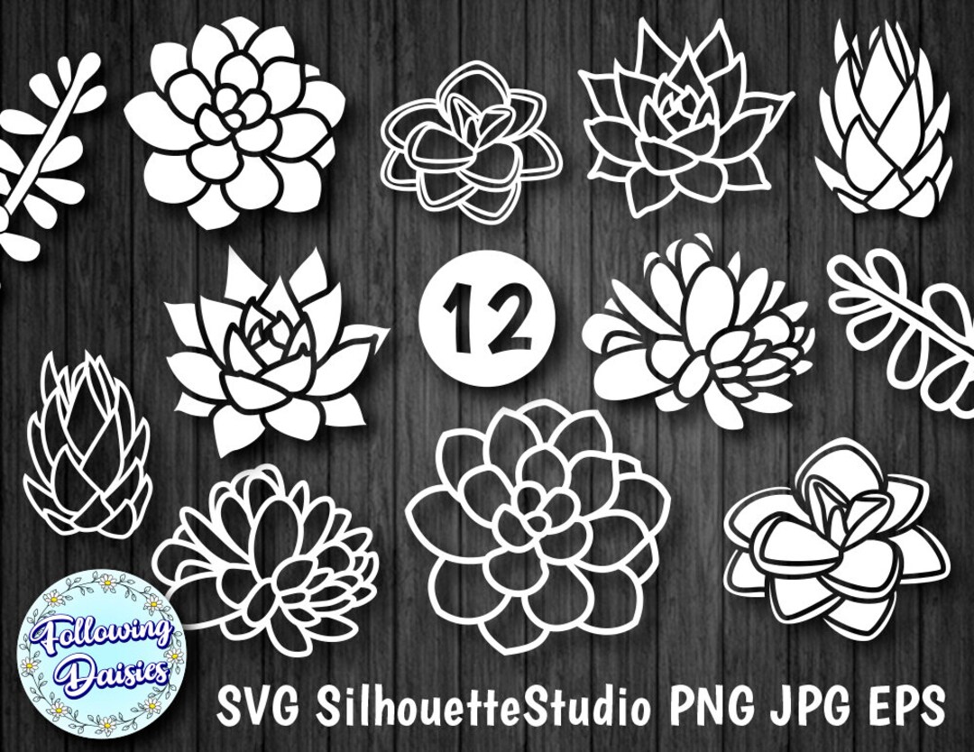 SUCCULENTS En SVG Pack 1, Succulents Silhouettes, Cactus, Plants, Paper ...