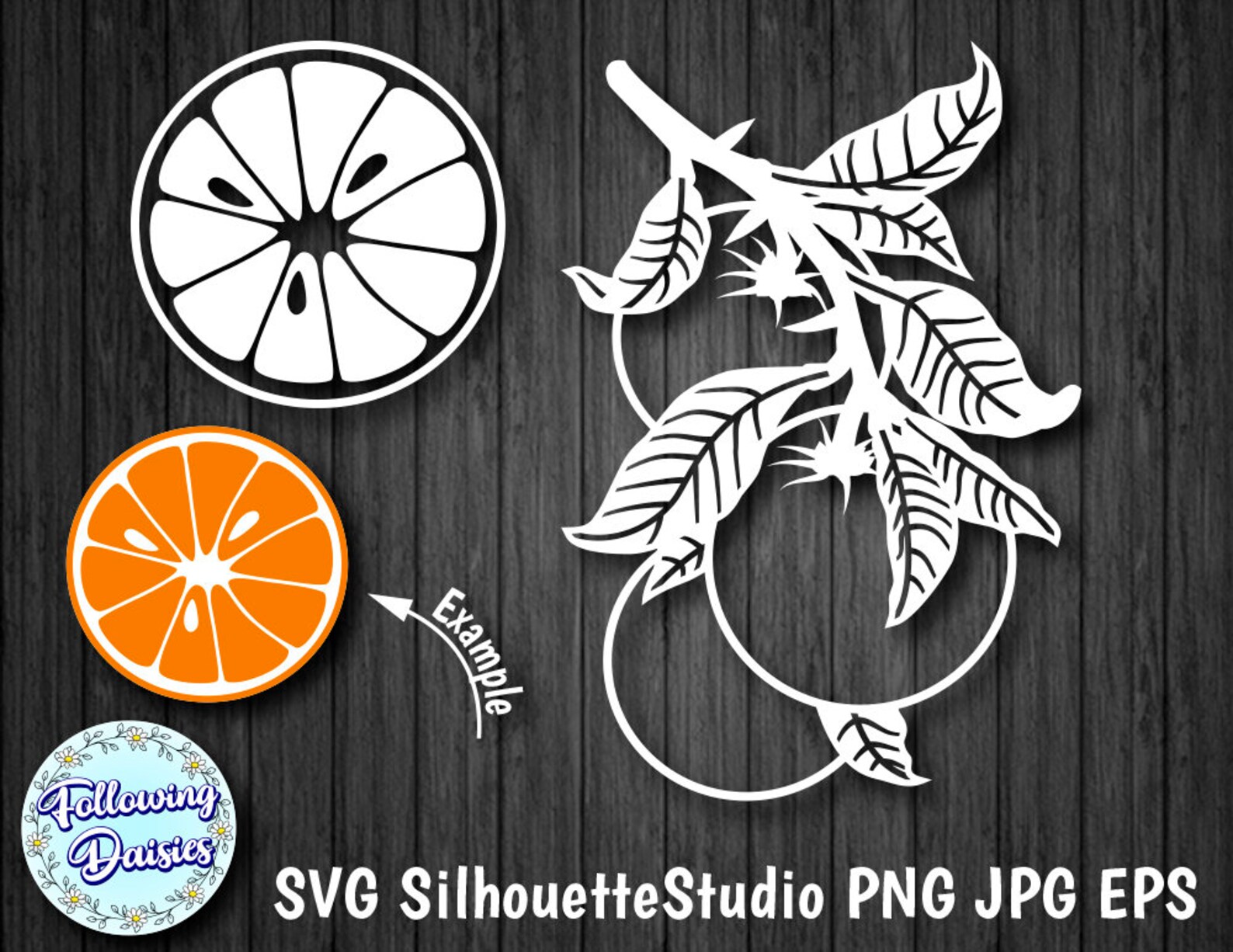 ORANGES in SVG Slice of orange Orange cut file Svg files | Etsy