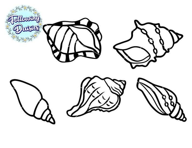 SEASHELLS in SVG, Seashells Bundle, Summer, Beach, Ocean, Shell, Sea ...