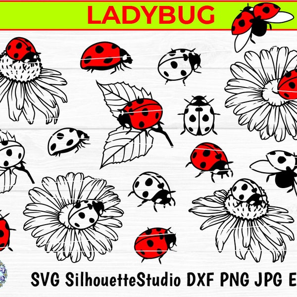 Ladybug Svg - Etsy