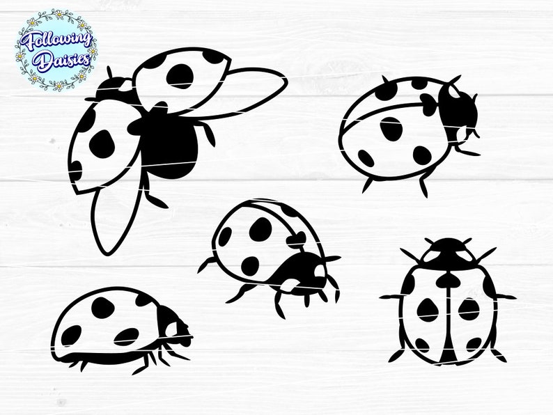 Ladybug SVG Bundle: Spring Flower Cut Files, Cricut & Silhouette - Etsy