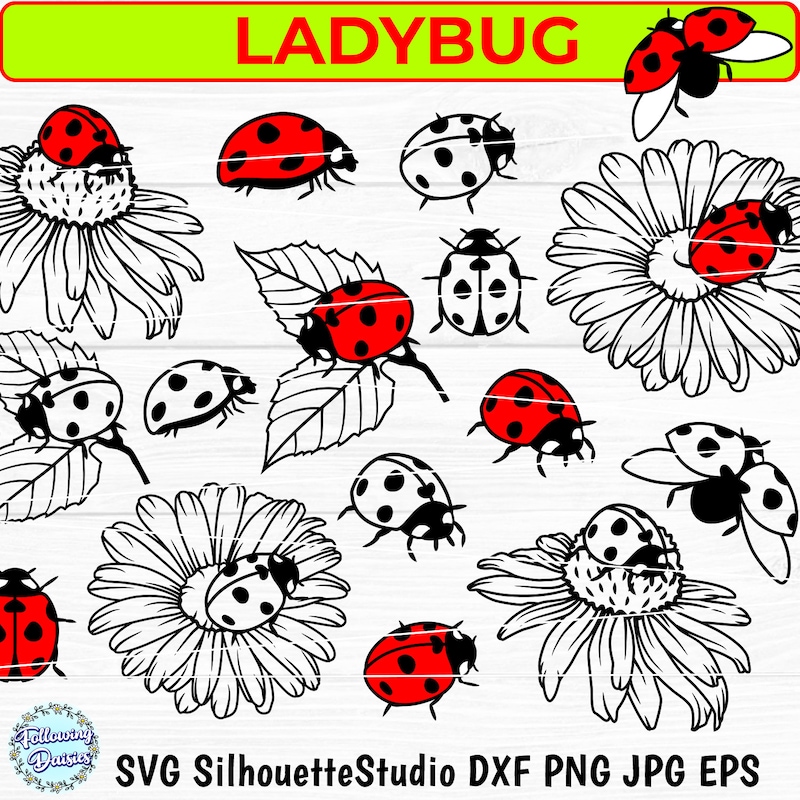 Ladybug Svg - Etsy