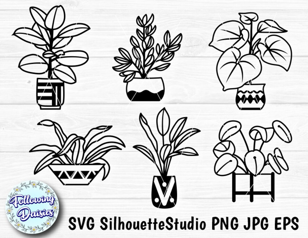 PLANTS in SVG, Potted Plants, House Plants, Flower Pot, Gardening ...