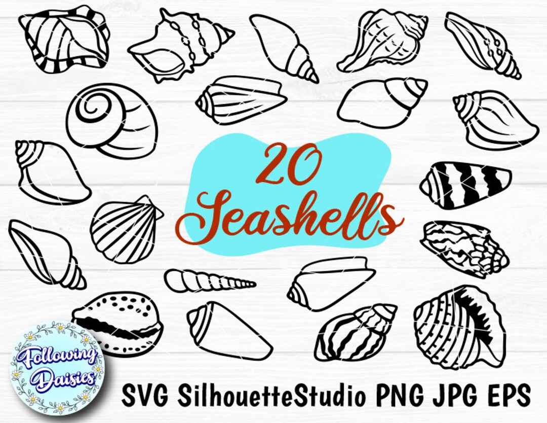 SEASHELLS in SVG, Seashells Bundle, Summer, Beach, Ocean, Shell, Sea ...