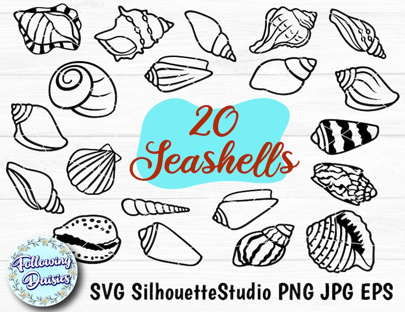 SEASHELLS in SVG, Seashells Bundle, Summer, Beach, Ocean, Shell, Sea ...