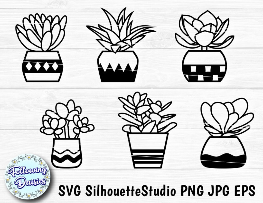 SUCCULENTS in SVG, Potted Plants, House Plants, Cactus, Gardening ...