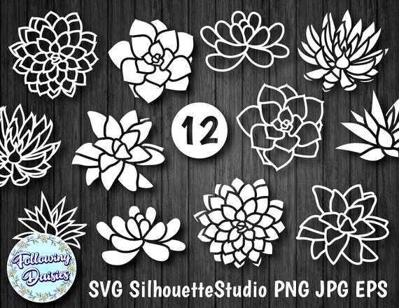 SUCCULENTS SVG Pack 2 Succulents Silhouettes Paper Cut - Etsy