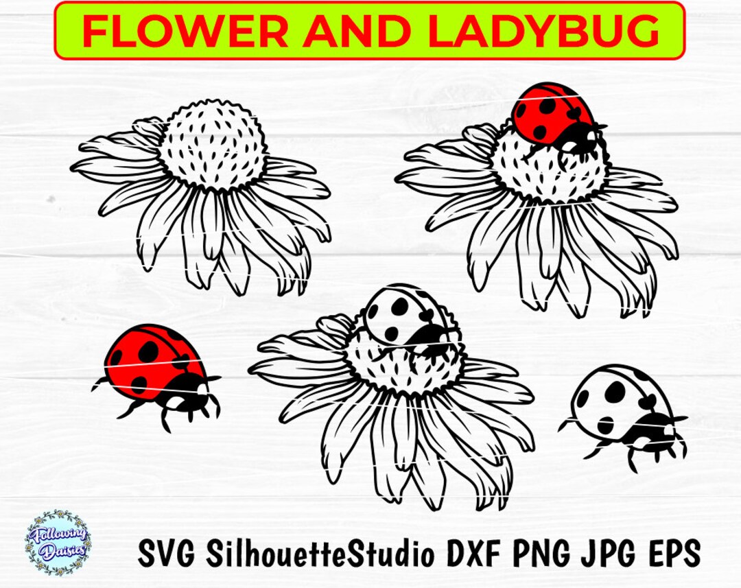 LADYBUG SVG, Ladybug Svg Layered, Ladybug Svg, Ladybug Svg Design ...
