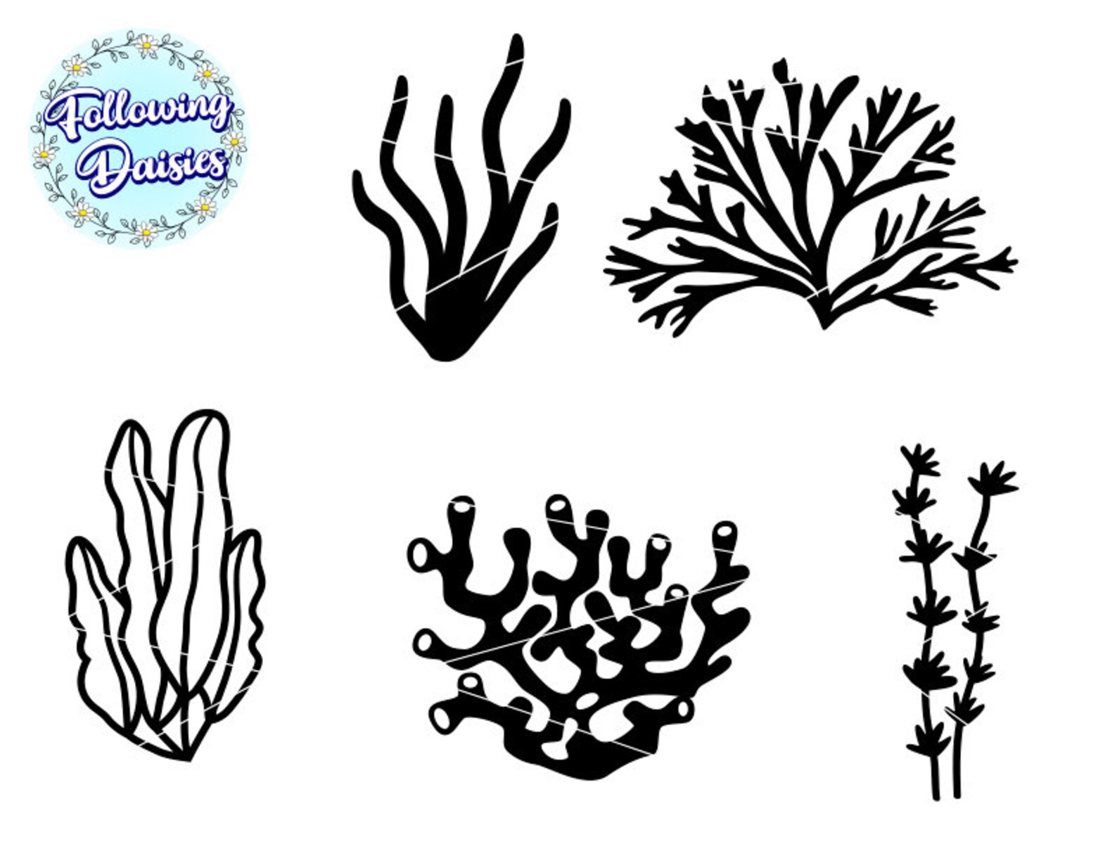CORALS and SEAWEEDS En SVG, Ocean, Plants, Marine Nature, Sea, Corals ...