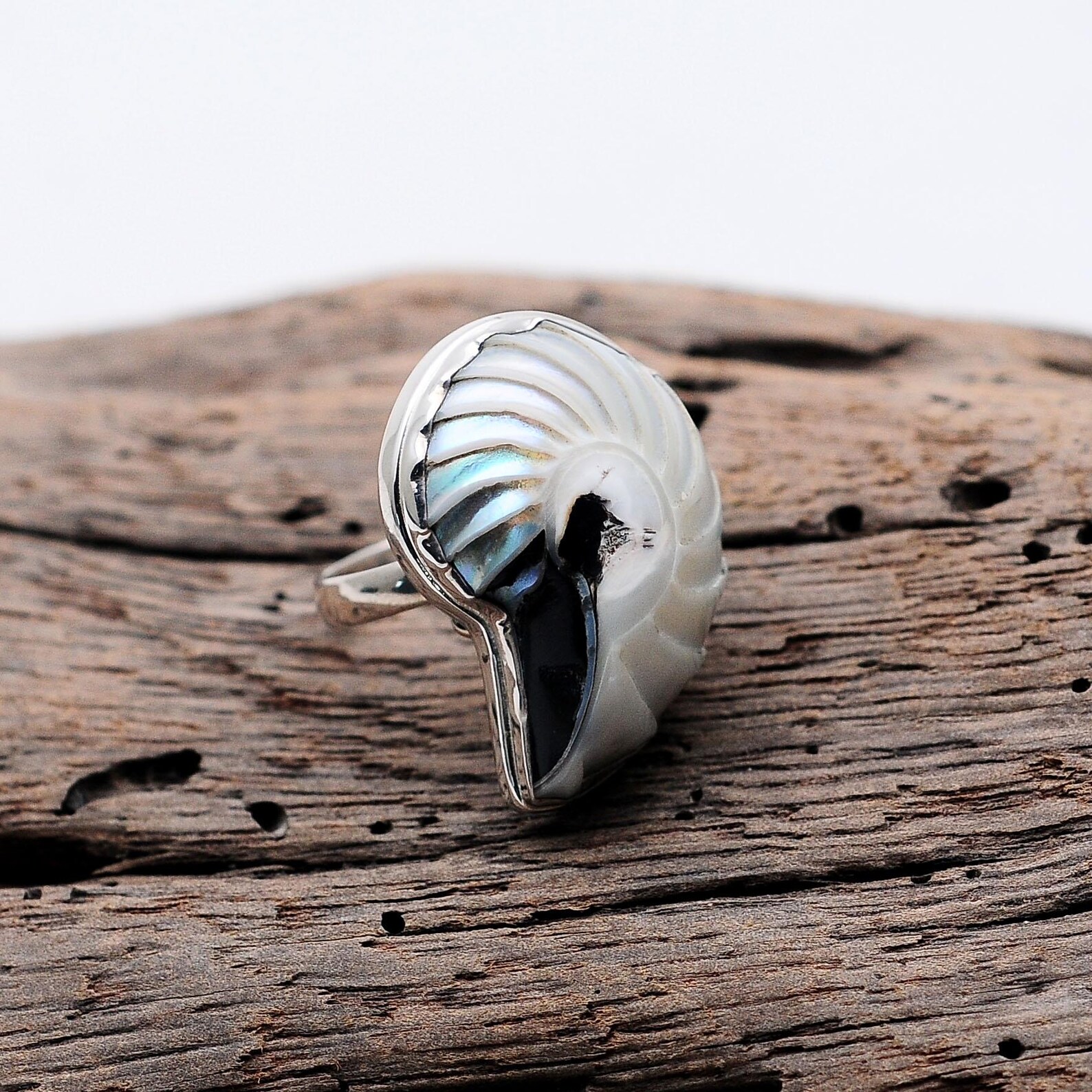 Nautilus Shell Ring With 925 Sterling Silver, Handmade Jewelry, Perfect ...