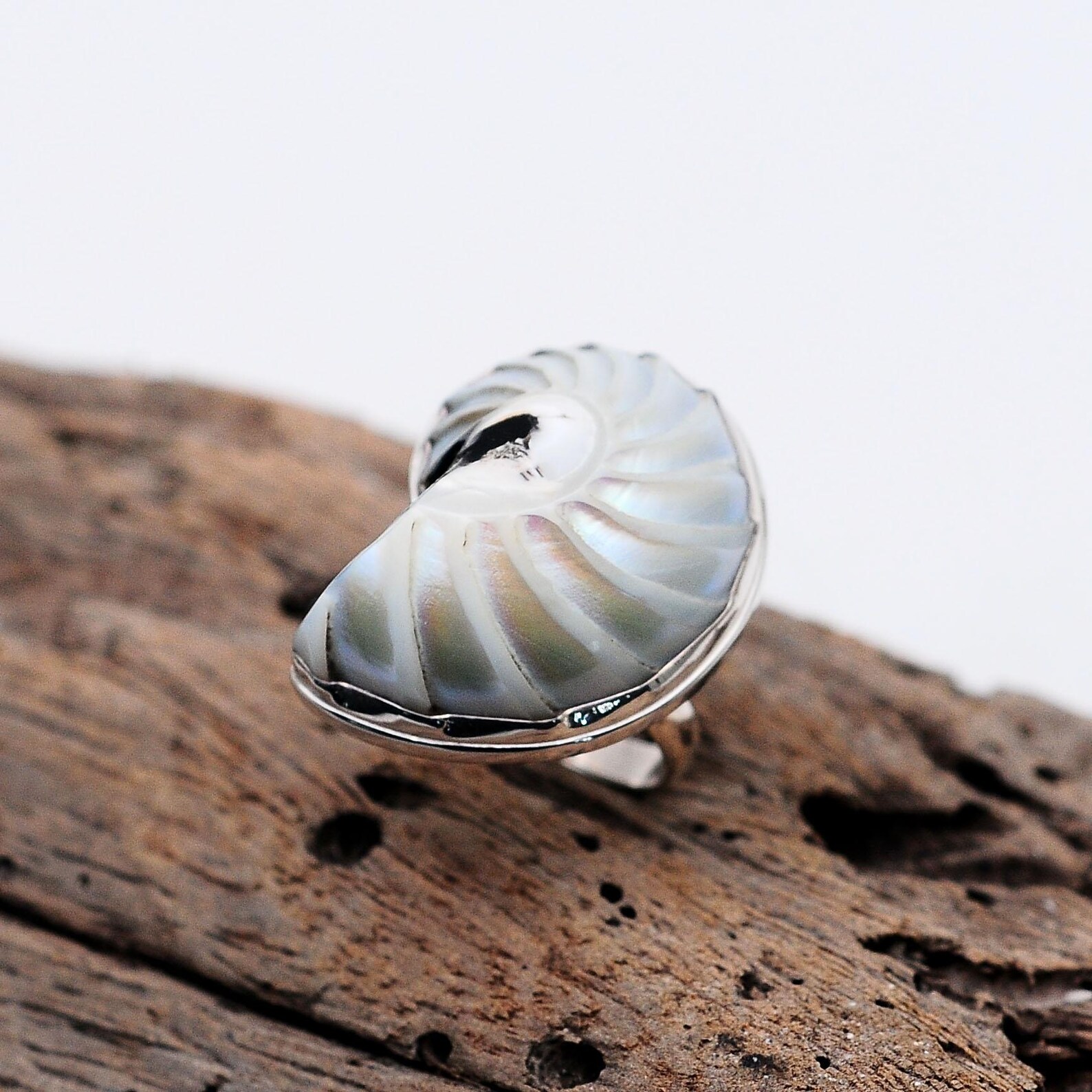 Nautilus Shell Ring With 925 Sterling Silver, Handmade Jewelry, Perfect ...