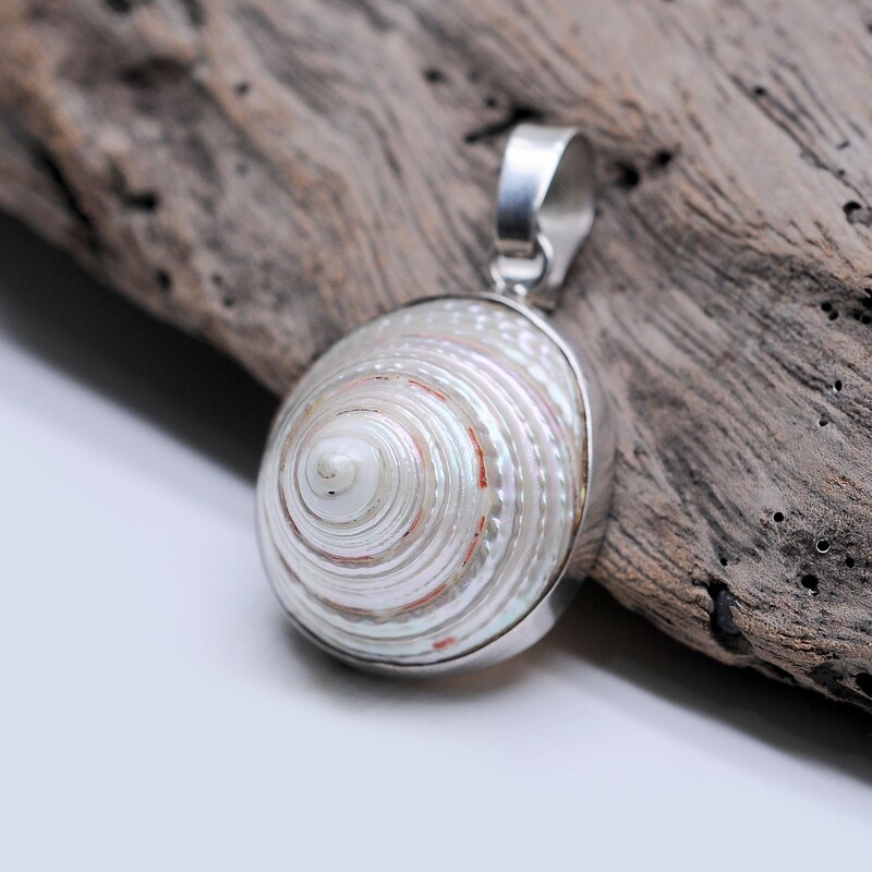Sea Shell Pendant - Etsy