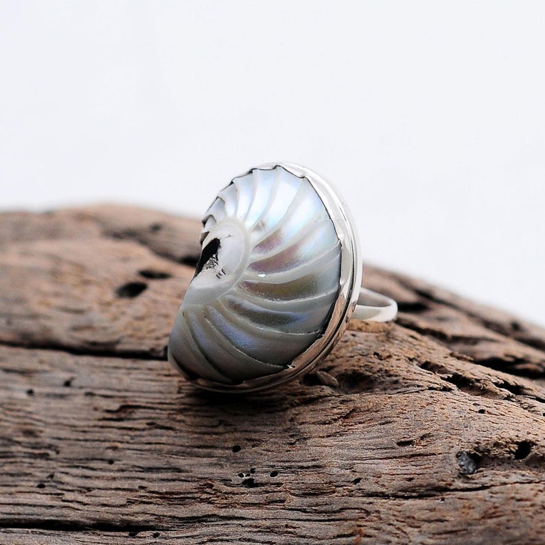 Nautilus Shell Ring With 925 Sterling Silver, Handmade Jewelry, Perfect ...