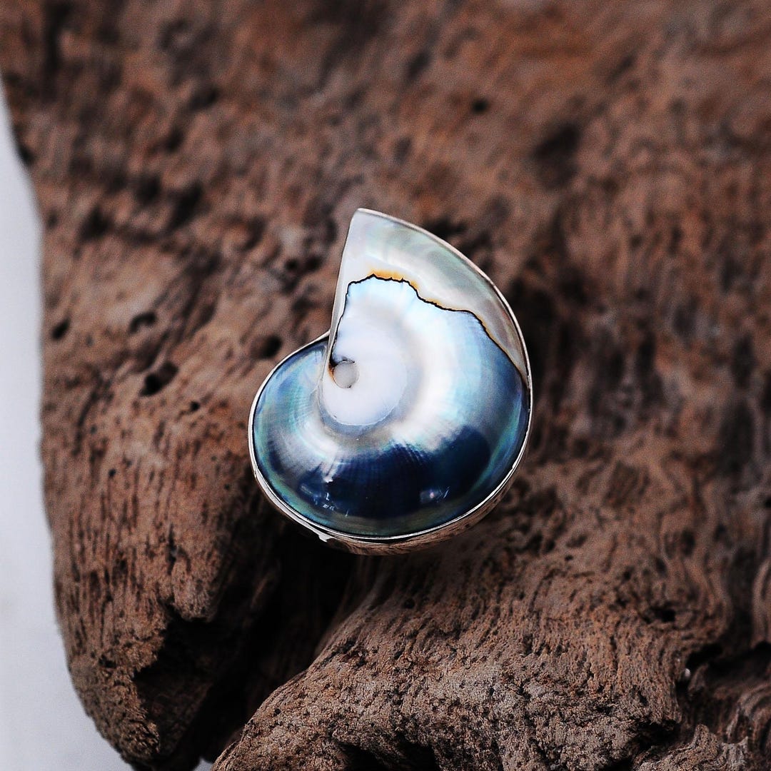 Nautilus Shell Ring Made With 925 Sterling Silver, Handmade Jewelry - Etsy