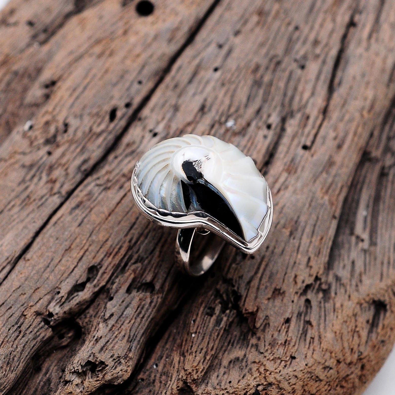 Nautilus Shell Ring With 925 Sterling Silver, Handmade Jewelry, Perfect ...