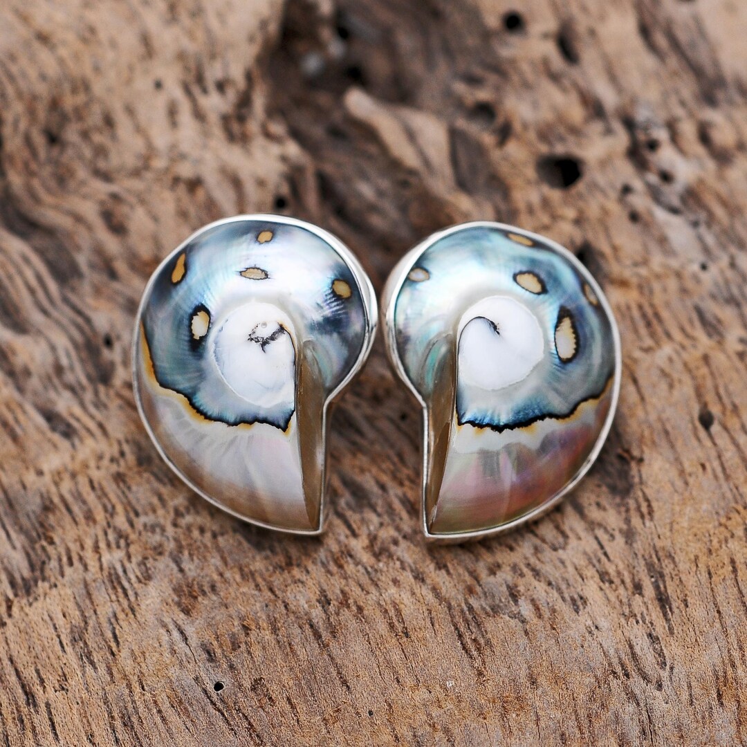 Nautilus Shell Sterling Silver Stud Earrings: Boho Ocean Jewelry - Etsy