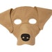 Golden Labrador Costume Mask and Paws, Halloween, Book Day Costume, Dog ...