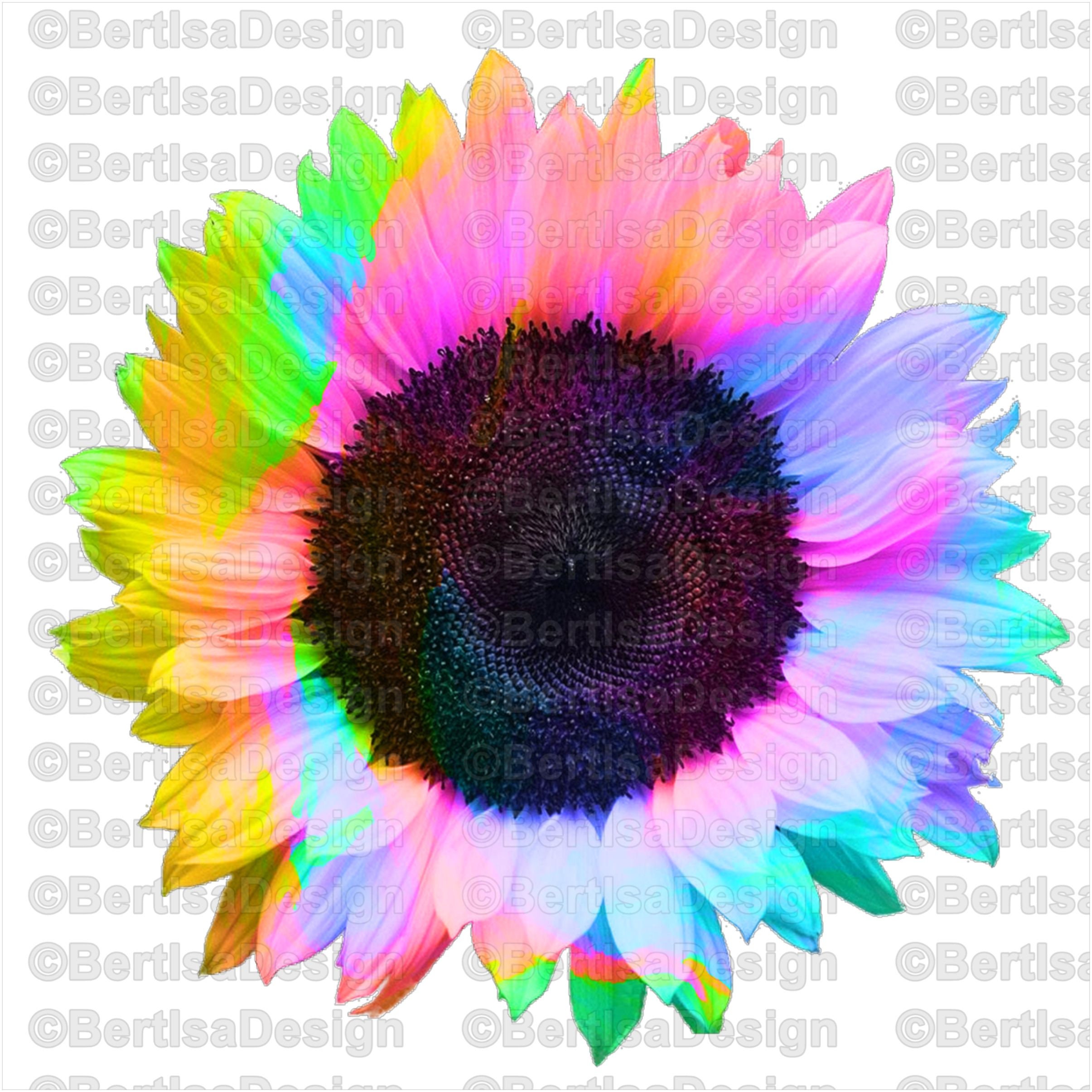 Rainbow Sunflower Sublimation Design Sunflower Clip-art PNG | Etsy