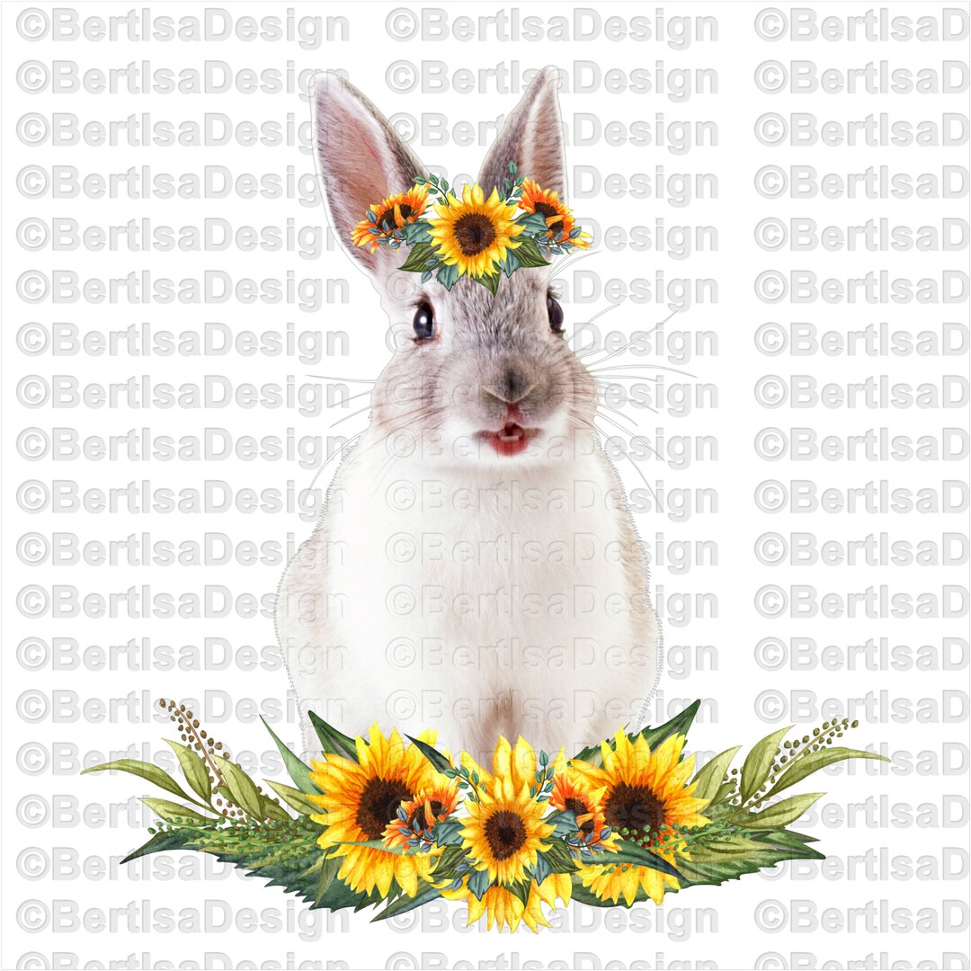Rabbit Bunny Sublimation Design Sunflower Bunny PNG Clipart - Etsy