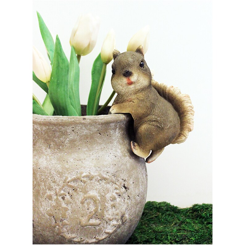 Animals Planter Hangers ,more Choose Pig/squirrel/hedgehog /turtle ...