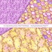 Mermaid Glitter Digital Paper Pack, Colorful Rainbow Glitter Seamless ...