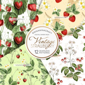 Vintage Strawberry Seamless Patterns, Retro Floral Digital Papers by ...