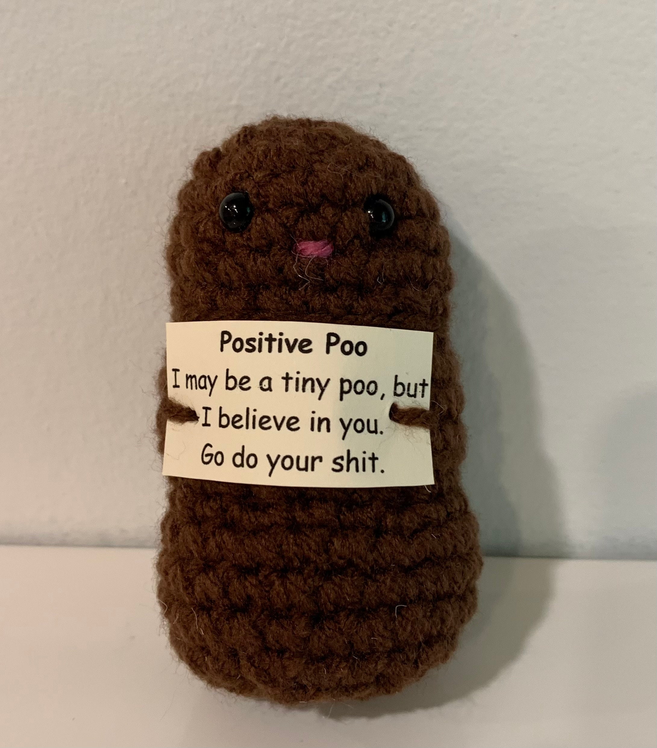 Positive Poo Funny Amigurumi Crochet / Poop That Says It All / Pick Me ...