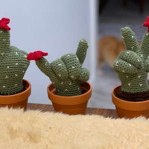 Express Yourself Crochet Cactus / Funny Decor/ Great Gift / Middle ...
