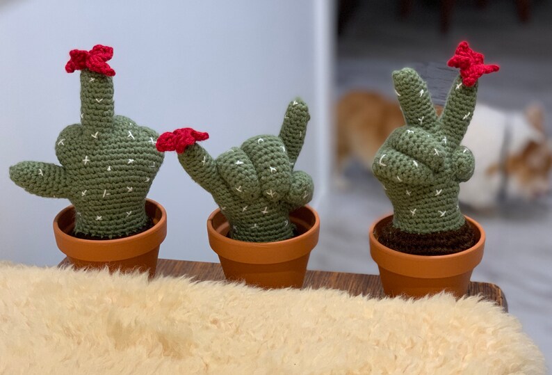 Express Yourself Crochet Cactus / Funny Decor/ Great Gift / Middle ...