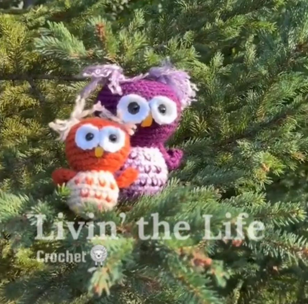 MULTIPLE SIZES PDF Crochet Pattern Bundle Hootiful Owl Patterns Autumn Decor, Sweet Gift, Home ...