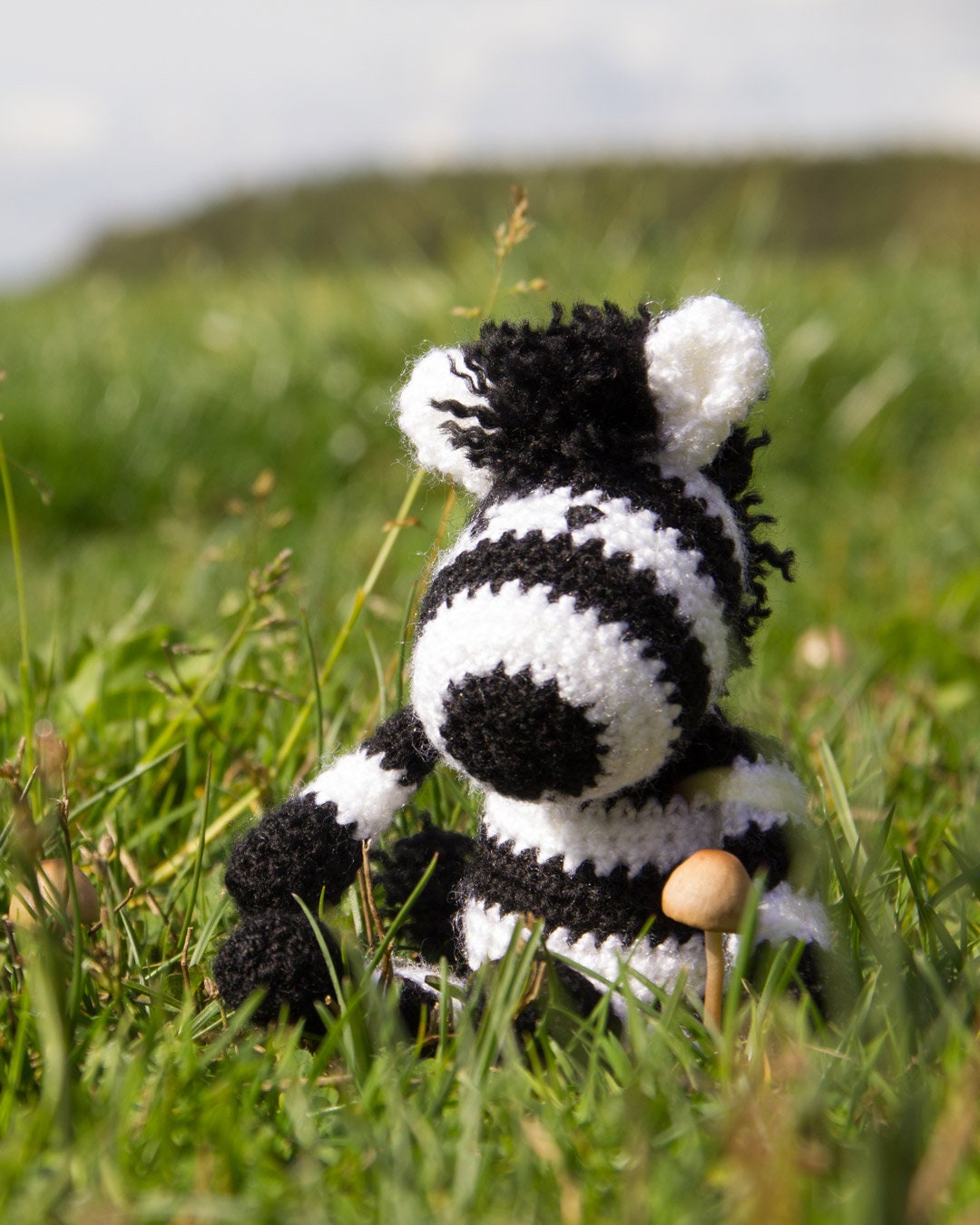 Zebra 'zola' + Swim Ring Crochet Pattern • Amigurumi PDF • Luckytwins ...