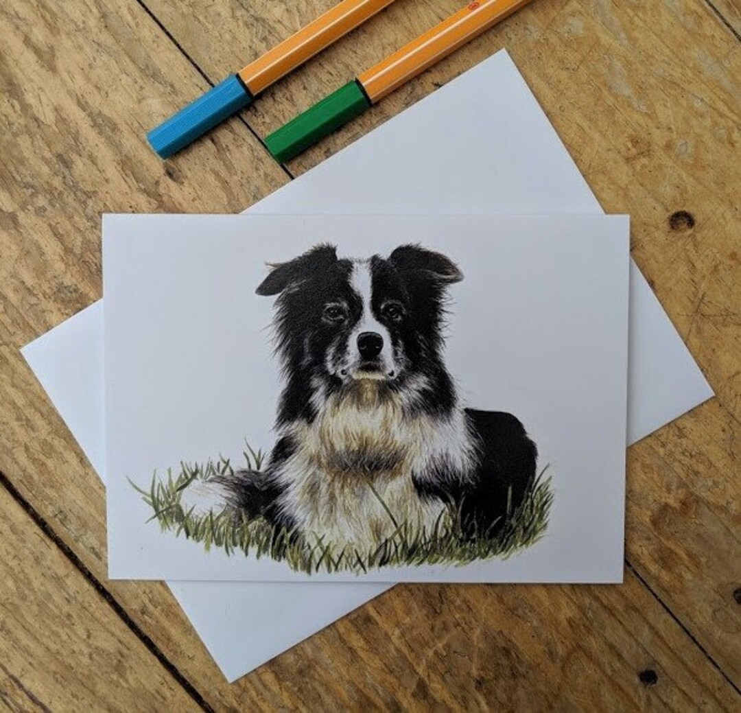Border Collie Greeting Card - Etsy