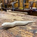 Little Snake Whittling Blank - Etsy